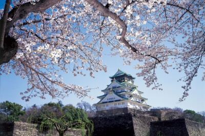 Sennan City Tourist Information Center | Tourist attractions and ...