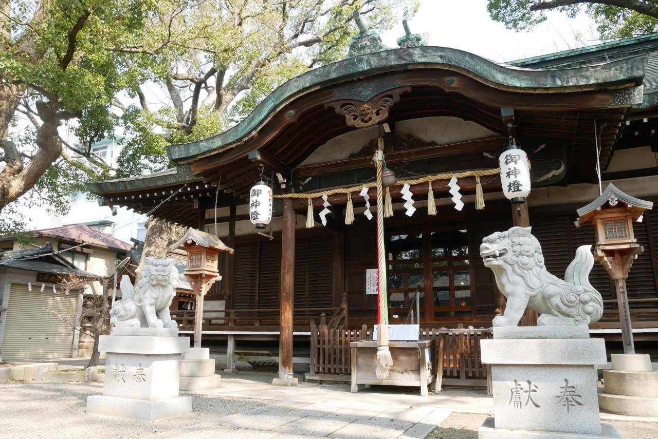 Drop by if you’re near Sakai! A Journey with Stopovers on the Hankai ...